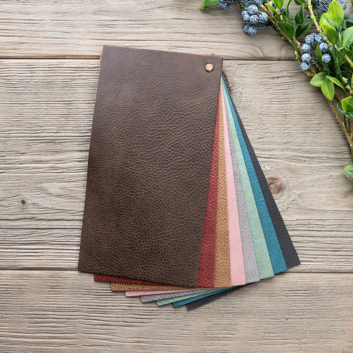 Farbmuster – Rohleder